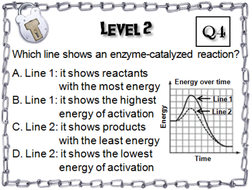 Enzymes Activity: Biology Escape Room - Science | Teaching Resources
