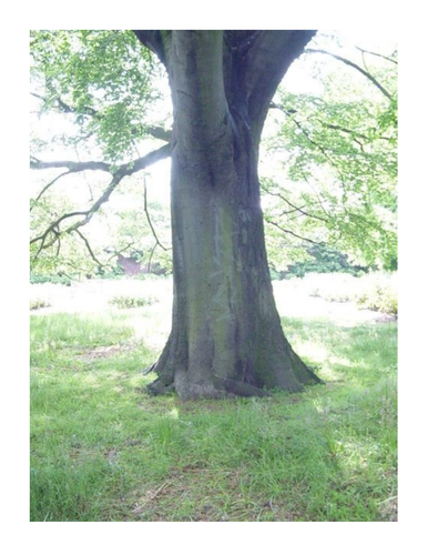 20x P4C Stimuli Bundle | Teaching Resources