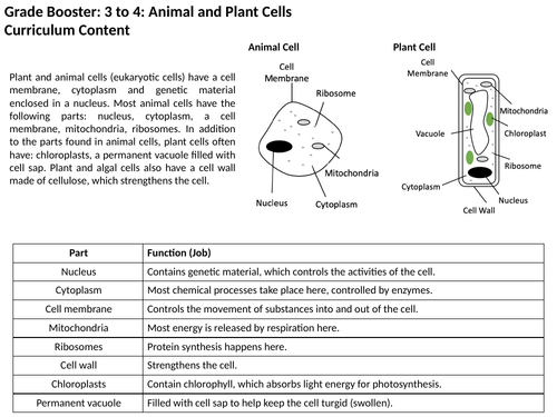 AQA Science: Cells Revision: Grade Booster Level 3 to 4 | Teaching ...