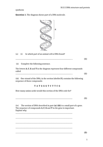 13.5 DNA structure and protein synthesis GCSE Grade 1-9 AQA triple ...