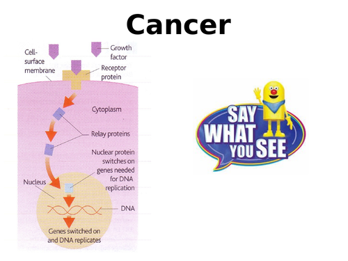 A LEVEL BIOLOGY - GENE EXPRESSION, CANCER AND EPIGENTICS FULL SOW ...
