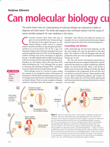 A LEVEL BIOLOGY - GENE EXPRESSION, CANCER AND EPIGENTICS FULL SOW ...