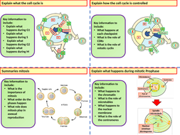 Free A Level Biology Cell Division Revision Flash Cards | Teaching ...