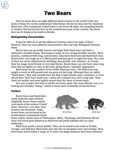 5th Grade Reading Comprehension / 5th Grade Reading Homework | Teaching ...