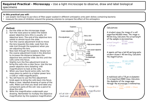 New 9-1 Biology GCSE Required Practical Revision | Teaching Resources
