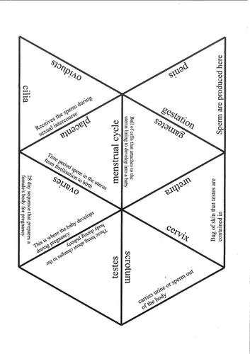 Reproduction Tarsia puzzle | Teaching Resources