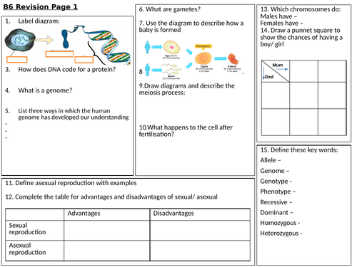 GCSE 9-1 Revision Biology AQA Unit 6 Revision Mats | Teaching Resources GCSE 9-1 Revision Biology AQA Unit 6 Revision Mats | Teaching Resources