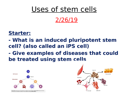 Stem cells- AQA Biology A Level | Teaching Resources
