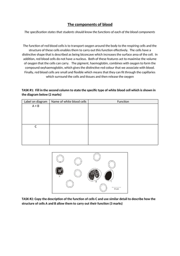OCR Gateway GCSE Biology A Paper 1 REVISION (Topics B1 - B3) | Teaching ...