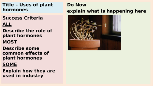 AQA GCSE Plant Hormones and their uses | Teaching Resources