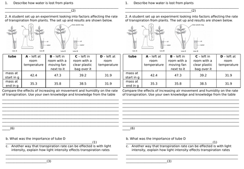 AQA GCSE Xylem, Phloem and Rate of Transpiration | Teaching Resources