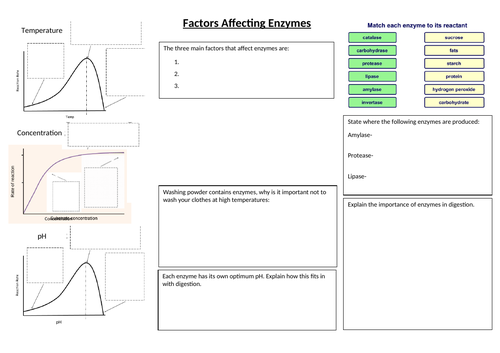 Factors Affecting Enzymes | Teaching Resources