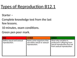 Types of reproduction | Teaching Resources