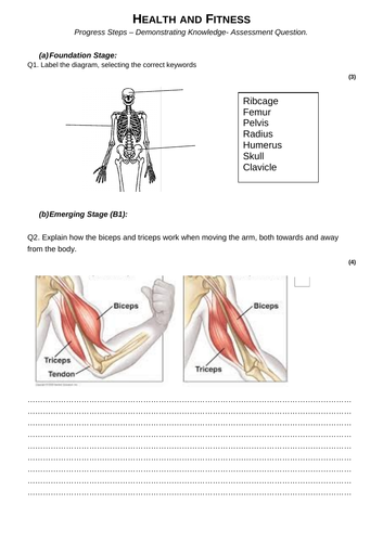 KS3 Year 7 Health Scheme of Work | Teaching Resources