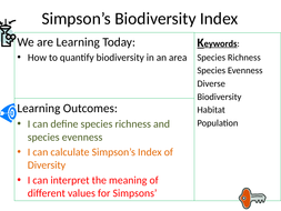 Using Simpson's Diversity Index Lesson | Teaching Resources