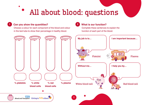 BLOOD & THE CIRCULATORY SYSTEM LESSON | Teaching Resources