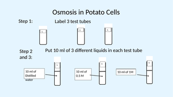 Lower ability simplified potato osmosis practical | Teaching Resources