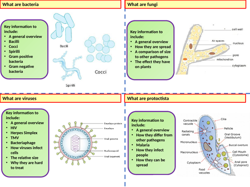 Free A Level Biology Communicable Diseases Revision Flash Cards ...