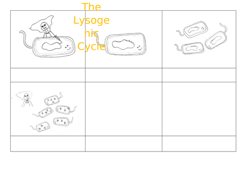 Virus Life Cycle Worksheets | Teaching Resources