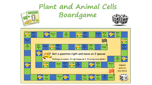 Plant and Animal Cells - Structure, Differences and Specialisation ...