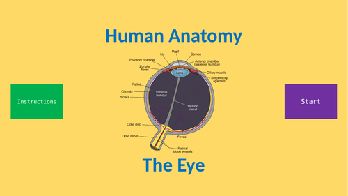 Human Anatomy Quiz: Eye | Teaching Resources