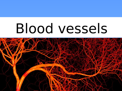 Blood vessels | Teaching Resources
