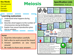 AQA KS4 GCSE Biology (Science) Meiosis Lesson & Activities | Teaching ...