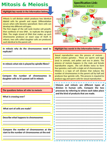 AQA KS4 GCSE Biology (Science) Meiosis Lesson & Activities | Teaching ...