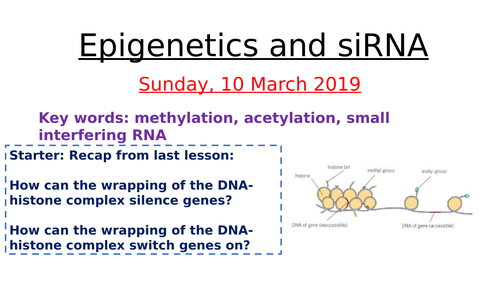 Epigenetics and siRNA- AQA Biology A level | Teaching Resources