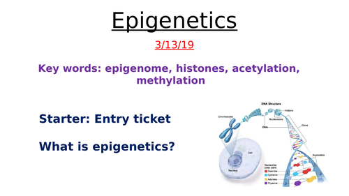 Epigenetics and siRNA- AQA Biology A level | Teaching Resources
