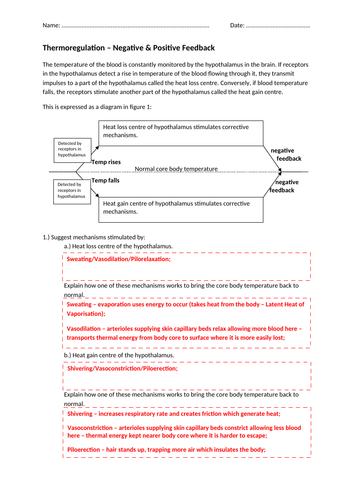 Thermoregulation - Negative and Positive Feedback Worksheet ...