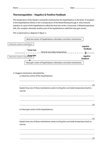 Thermoregulation - Negative and Positive Feedback Worksheet ...