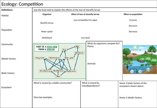 Competition Learning Mat | Teaching Resources