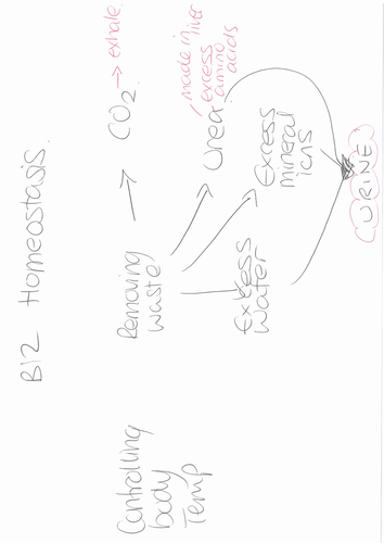 Biology 9-1 AQA Revision sheets mind maps revision mats | Teaching ...