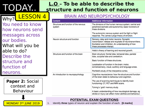 AQA GCSE [9-1] PSYCHOLOGY - BRAIN AND NEUROPSYCHOLOGY LESSONS ...