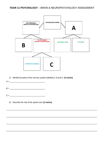 AQA GCSE [9-1] PSYCHOLOGY - BRAIN AND NEUROPSYCHOLOGY LESSONS ...