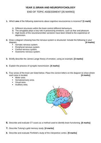 AQA GCSE [9-1] PSYCHOLOGY - BRAIN AND NEUROPSYCHOLOGY LESSONS ...