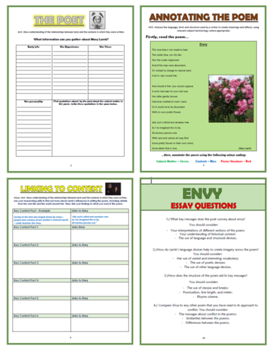 Envy Comprehension Activities Booklet! | Teaching Resources