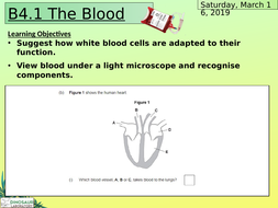 KS4 B4.1 The Blood | Teaching Resources