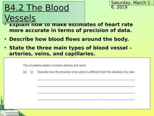 KS4 B4.2 The Blood Vessels | Teaching Resources