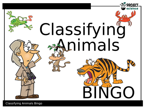 Classifying Animals Bingo | Teaching Resources