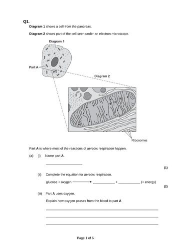 AQA KS4 GCSE Biology (Science) Protein Synthesis Lesson & Activities ...