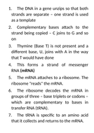 AQA KS4 GCSE Biology (Science) Protein Synthesis Lesson & Activities ...