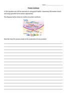 AQA KS4 GCSE Biology (Science) Protein Synthesis Lesson & Activities ...