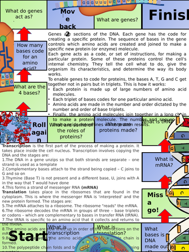 AQA KS4 GCSE Biology (Science) Protein Synthesis Lesson & Activities ...