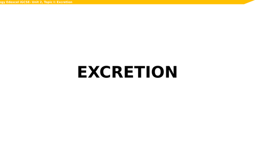 Biology Edexcel iGCSE Excretion Powerpoint | Teaching Resources