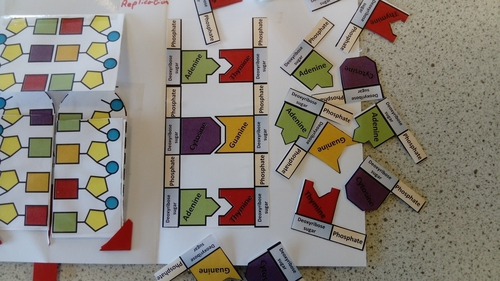 AQA KS4 GCSE Biology (Science) DNA & the Genome Lesson & Activities ...