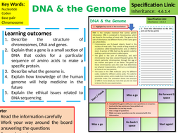 AQA KS4 GCSE Biology (Science) DNA & the Genome Lesson & Activities ...