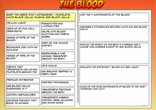 2019 - Blood Activity and Worksheet Pack | Teaching Resources