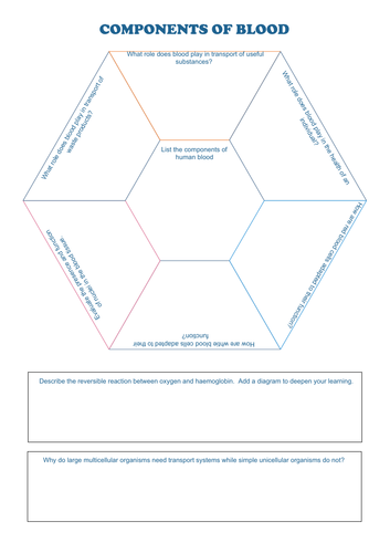 2019 - Blood Activity and Worksheet Pack | Teaching Resources